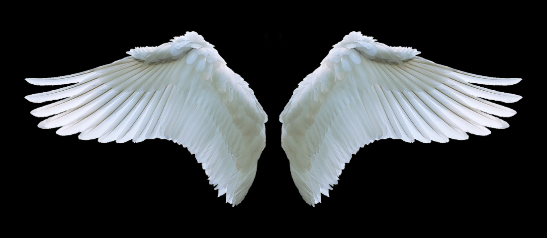 The Last Nephilim- the prompt project – Antonia Bernardin