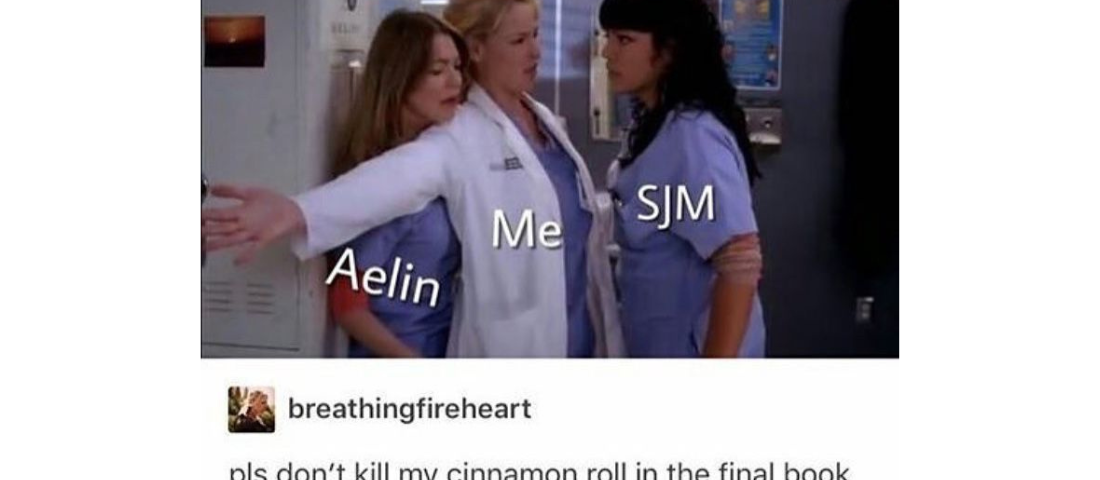 30 Throne of Glass memes… because I can (part 1) – Antonia Bernardin