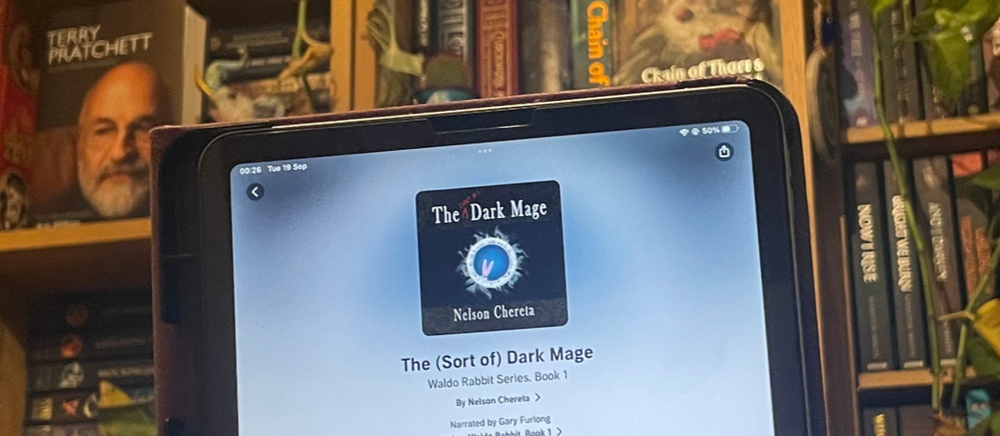 The Waldo Rabbit series – Antonia Bernardin