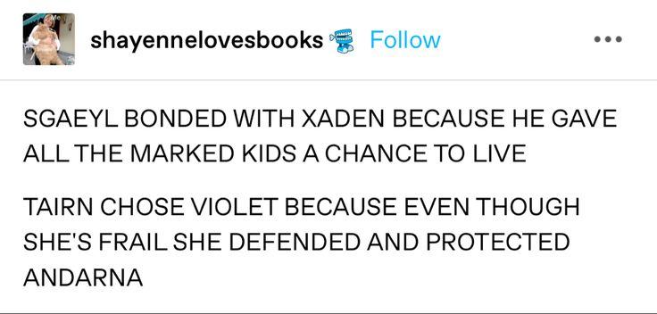 20 Fourth Wing memes… because I can – Antonia Bernardin