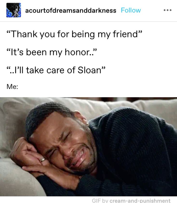 20 Fourth Wing memes… because I can – Antonia Bernardin