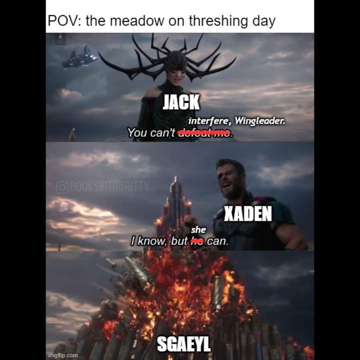 20 Fourth Wing memes… because I can – Antonia Bernardin