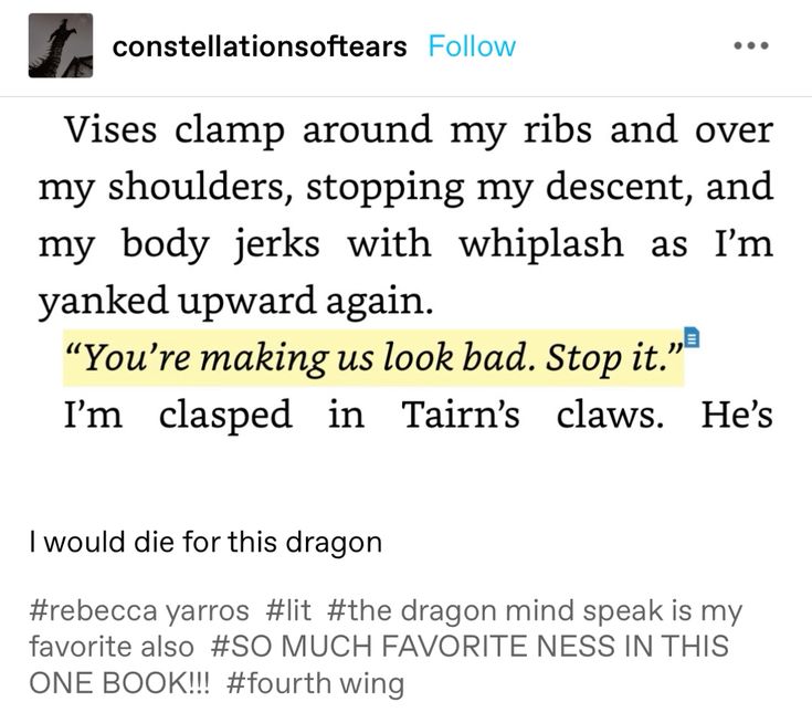 20 Fourth Wing memes… because I can – Antonia Bernardin