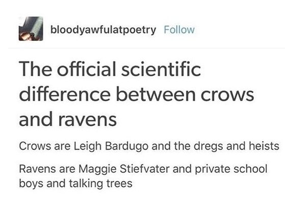 35 memes to convince you to read The Raven Cycle – Antonia Bernardin